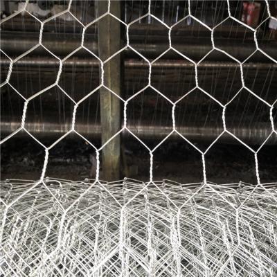 China Hot Dipped Galvanized Hexagonal Wire Netting for sale