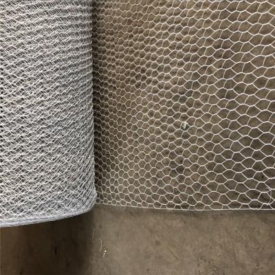 China Hot Dipped Galvanized Hexagonal Wire Netting for sale