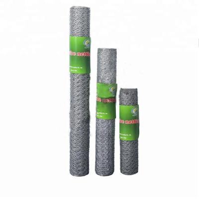 China Hot Dipped Galvanized Hexagonal Wire Netting for sale