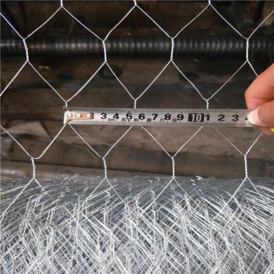 China Electro Gavanized Before Weaving Hexagonal Wire Netting for sale