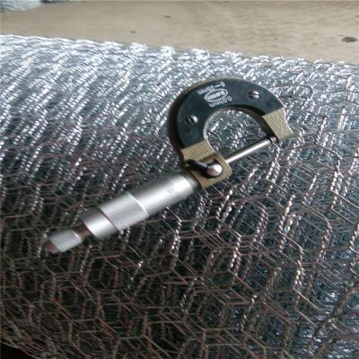 China Chicken Wire Vertical Garden Factory for sale