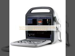 Portable 2D Animal Ultrasound Machine Color Doppler For Cats Dogs Cattle Horses Sheep