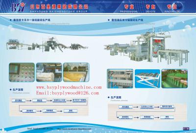 China plywood machine-Veneer production line 01 page 7-8 for sale