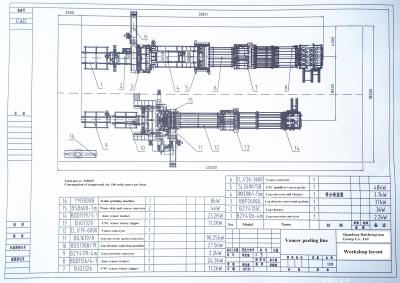China Spindless Veneer peeling line--workshop layout for sale