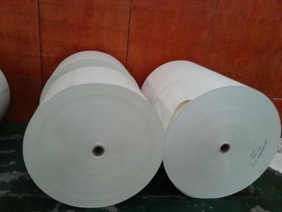 Cina Food Grade Stampato Cup Rotoli di carta per Fare monouso di carta da asporto Tazze di caffè in vendita
