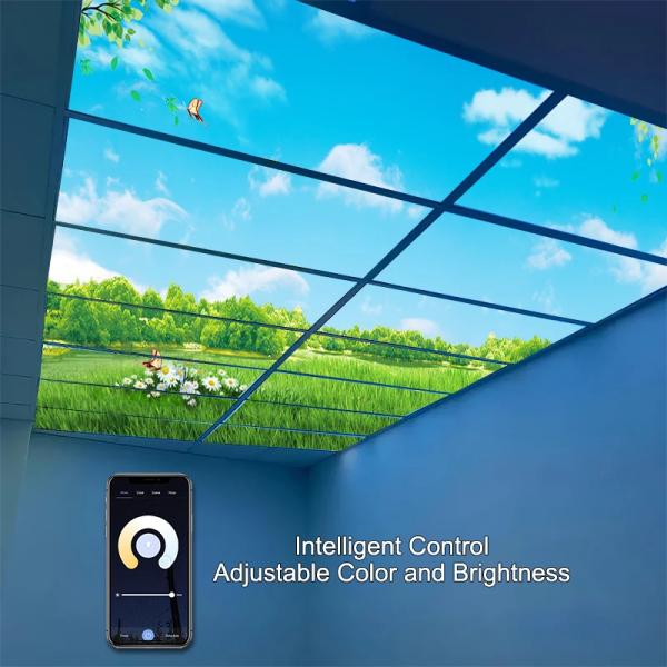 Quality High Efficiency Commercial LED Lights with 120° Beam Angle CRI 80 for 110V-240V for sale