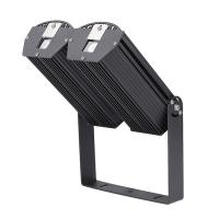 China Double Head Laser Light for sale