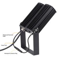 China Double Head Laser Light for sale