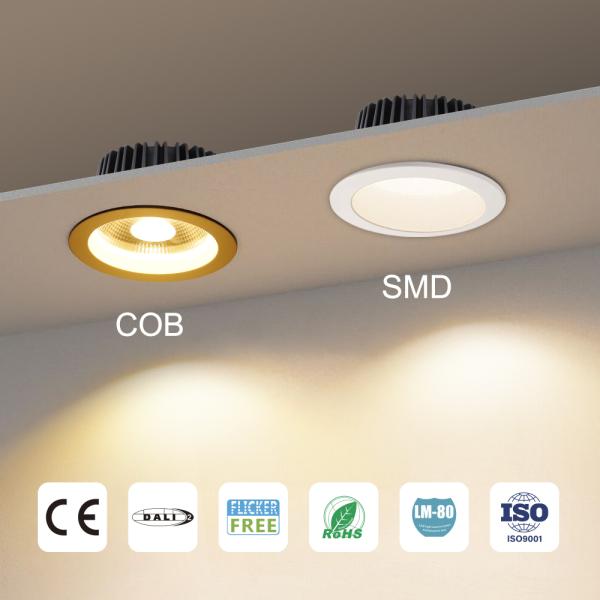 Quality Aluminum LED Integrated Downlight with Customizable Light Color and Long for sale
