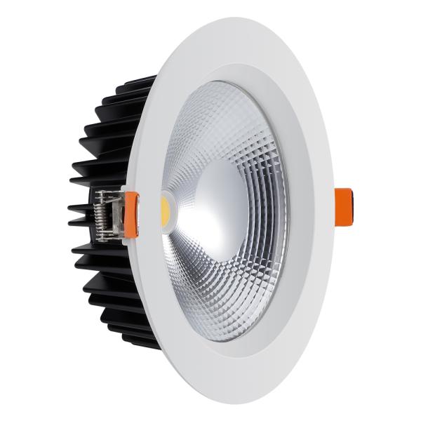 Quality Aluminum LED Integrated Downlight with Customizable Light Color and Long for sale