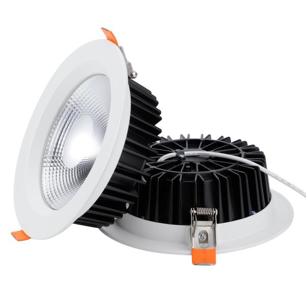 Quality Aluminum LED Integrated Downlight with Customizable Light Color and Long for sale