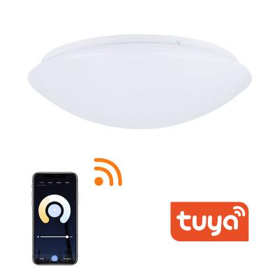 China Dia 410mm LED Ceiling Lamp with 5 Years Warranty and 100lm/W Efficiency for sale
