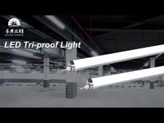 3000K 4000K 5000K 6000K Korrosionssicherheit LED-Leuchten IP65 LED Tri-Proof Light Hersteller