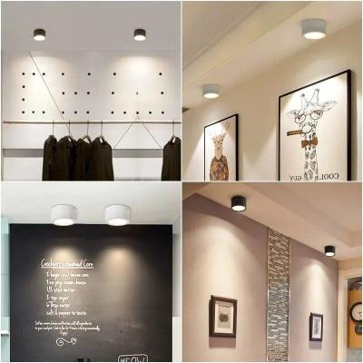 Cina Il soffitto montato di superficie di Downlights 12W del soffitto del LED ha montato Downlight in vendita