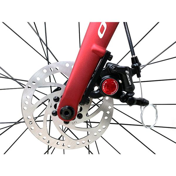 Quality Supply 700*25c Carbon Road Bike With 2x11 Speed Gears And ZOOM Hydraulic Brake for sale