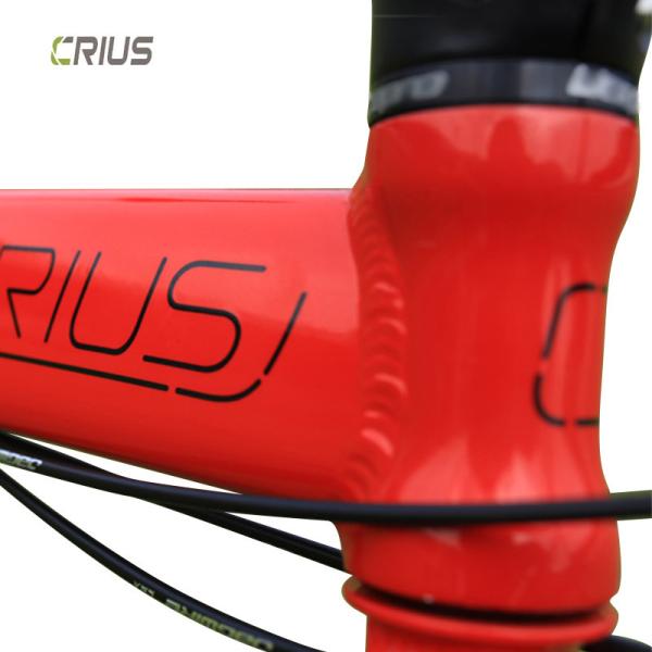 Quality 20 Inch Crius Folding Bike V Brake and 9 Speed The Perfect Combo for Outdoor for sale