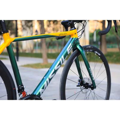 Cina Bici da strada a telaio rigido in fibra di carbonio per adulti e amanti della velocità in vendita