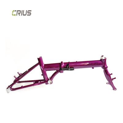 Cina Fitness all'aria aperta 16 pollici Shadow Folding Bike con e Microshift R9 Rear Derailleur in vendita