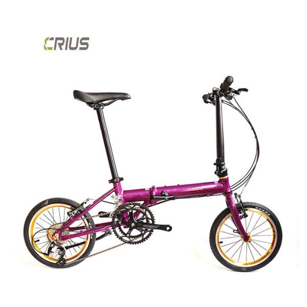 Quality 16 Inch Foldable Cycle Pull On Ground Bicycle For Eco-Friendly Transportation for sale