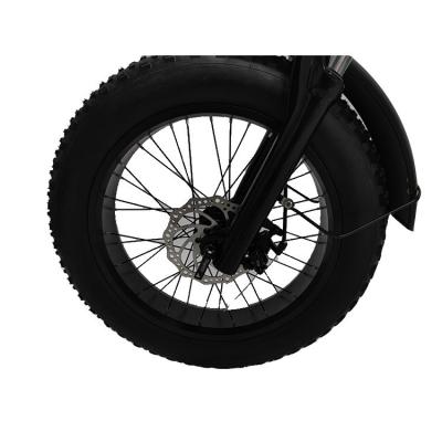 Cina Off-Road 20*4.0 Kenda Tire Electric Bike per viaggi emozionanti e spedizioni veloci in vendita