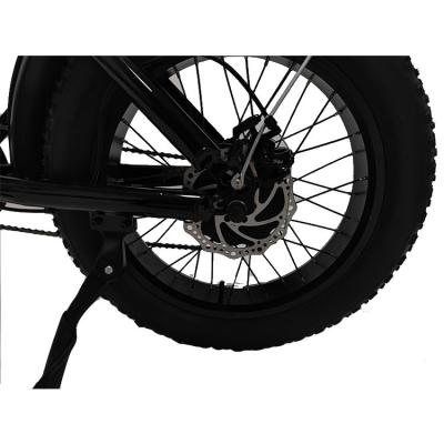Cina Off-Road 20*4.0 Kenda Tire Electric Bike per viaggi emozionanti e spedizioni veloci in vendita