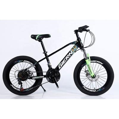 China 20" Steel MTB Chinese 21S Cycle Bicycles for Kids Gross Weight 12 Limited Time Offer for sale