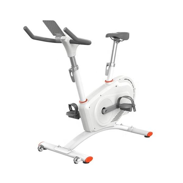 Quality Get In Shape At Home Noiseless Indoor Gym Exercise Spinning Bike With Max Torque for sale