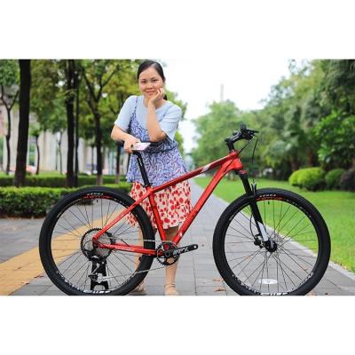 China Lightweight 27.5*15"/17" Frame Size Mtb Bicycles Double Disc Brake Cycle Bike for Man for sale