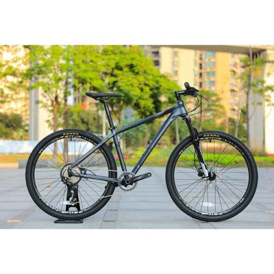 China Full Shockingproof Frame 29" MTB Mountain Bicycle with Remote Lockout Oil Spring Fork for sale