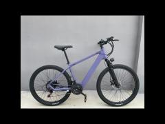 Professional Chinese E-Bike Manufacturer OEM/ODM Electric Mountain Bike pedal assist bike electric bike OEM bulk e-bikes