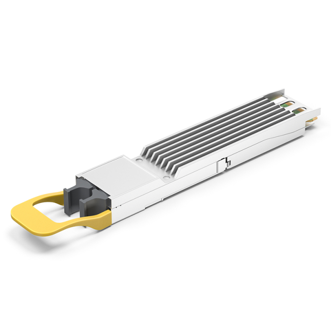 Mellanox MMS4X00-NS technical diagram