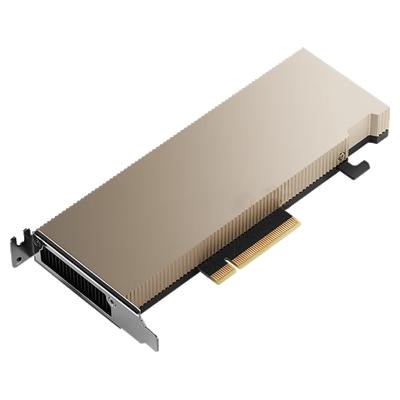 China A2 16GB GDDR6 128 Bit Bus PCIe 4.0X8 GPU Graphics Processing Unit For AI Acceleration for sale