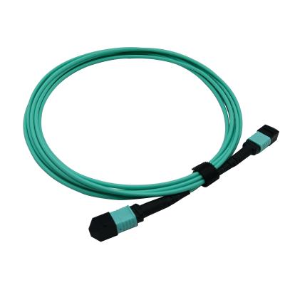 중국 8 코어 OM4 멀티모드 파이버 0.25dB 삽입 손실 MPO 광섬유 패치 코드 판매용