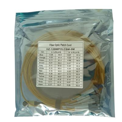 Cina Jumper Breakout MPO-12 Femmina A LC 12 Fibre OM4 OFNP 0.35dB Per Data Center ad Alta Densità in vendita