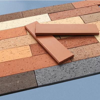 China Brick Slips Thin Bricks Outside Hotel Villa Building Exterior Wall Tiles for sale