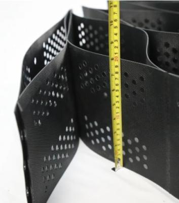 Cina Sistema di protezione di plastica della radice dell'allevamento in batteria Cellweb di Geocell dell'HDPE di Reinfored in vendita