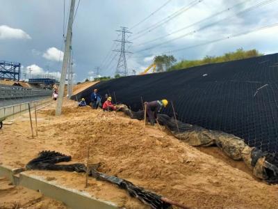 Cina favo di plastica del favo dell'HDPE 150mm Geocel di 3d Geocell dello stagno di plastica dell'HDPE in vendita