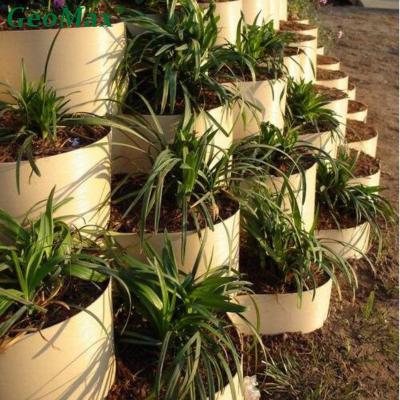 Cina Geocella in HDPE di altezza 250 mm per parete di sostegno con rete di terra di prova OIT ESCR in vendita