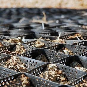 China 150mm Height Green Color HDPE  Geocell with 445mm Weld Spacing for Construction Access Roads In Vietnam for sale