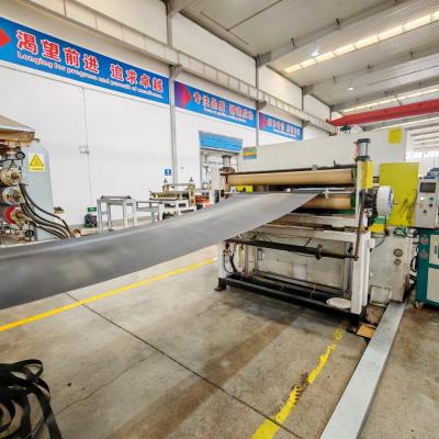 Cina Geocell in HDPE rinforzato con profondità di cellula di 250 mm per la stabilizzazione del sottopiano ferroviario in Vietnam in vendita