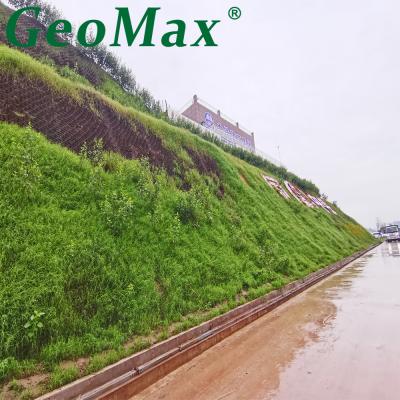 China GM356 HDPE Geocell 100mm Height with Perforations 1.5mm Thickness for Channel Protection In Pakistan for sale