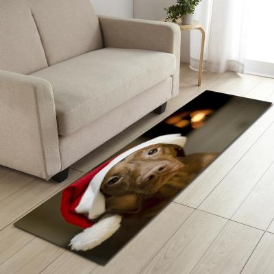 Cina Sostanza assorbente sveglia animale dell'acqua di Mats Home Entry Door Mat del pavimento della cucina del cane in vendita