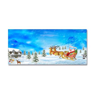Cina Stuoia lavabile di comodità della cucina di Santa Cute Kitchen Runner Rugs 40*60cm in vendita