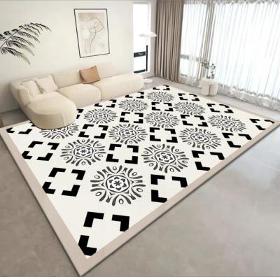 Cina Simple Drawing Style TPR Loop Velvet Living Room Floor Carpet Special Style in vendita