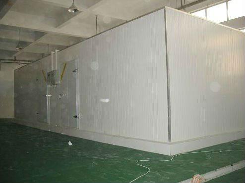 cella frigorifera che raffredda fan.jpg