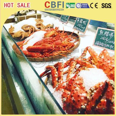 Cina Macchina del ghiaccio resistente del fiocco per l'industria della pesca 500kg a 30 tonnellate/24hrs in vendita