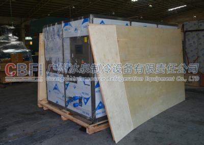 Cina Ghiaccio commestibile di rendimento elevato dei semi della macchina automatica del cubetto di ghiaccio con il touch screen in vendita