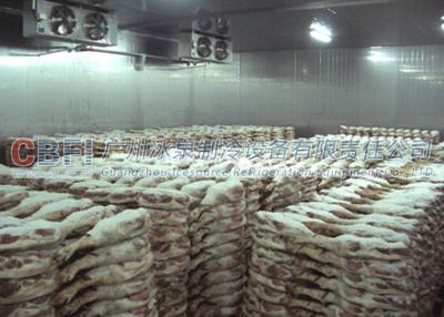 Cina 1000 tonnellate del grande congelatore di R507 R404a di cella frigorifera per i polli del pesce della carne in vendita