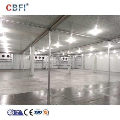 China 1000 tonnellate del grande congelatore di R507 R404a di cella frigorifera per i polli del pesce della carne for sale