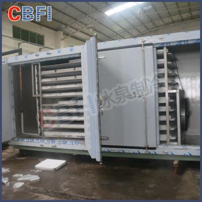 Cina Congelatore ad aria compressa commerciale congelato pesce dell'attrezzatura 5 tonnellate a 8 ore per il Bangladesh in vendita